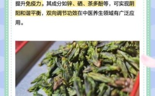 小叶苦丁茶的功效与作用_小叶苦丁茶的禁忌有哪些