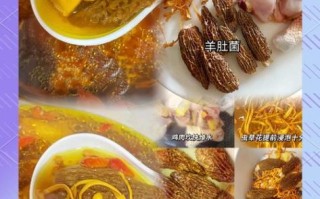 羊肚菌炖鸡一次放几个_羊肚菌用量怎么掌握