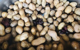 高压锅煮花生多长时间_高压锅煮花生需要多久