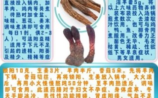 锁阳的功效与作用禁忌_哪些人不能吃