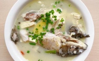 鲫鱼豆腐汤怎么做好喝又营养_鲫鱼豆腐汤的做法窍门