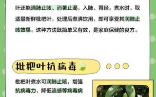 野枇杷煮水喝有什么功效_野枇杷叶煮水禁忌