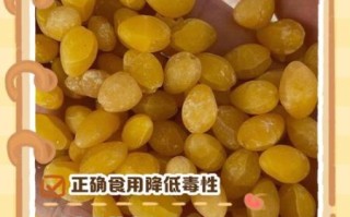 白果仁有毒吗_白果仁怎么吃才安全