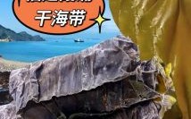 干海带怎么煮容易烂熟_干海带快速软烂技巧