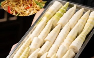 笋尖怎么做好吃_笋尖的家常做法