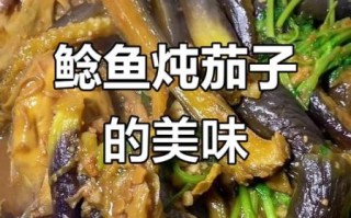 鲶鱼炖茄子怎么做_鲶鱼炖茄子家常做法