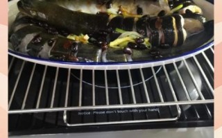 鲈鳗鱼怎么做好吃_鲈鳗鱼和河鳗区别