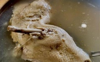 老鸭汤怎么煮好喝_老鸭汤去腥技巧