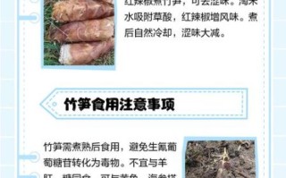 鲜笋怎么处理才不涩味_鲜笋去涩味最快的方法