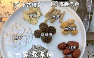 通草怎么煮水催奶_通草下奶的正确煮法