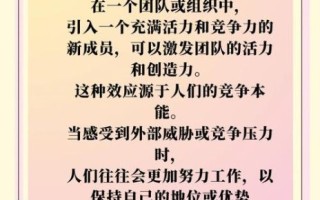 鲶鱼效应告诉我们什么道理_如何激发团队活力