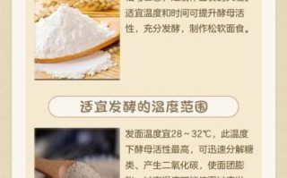 面粉发酵要多久_影响发酵时间的因素