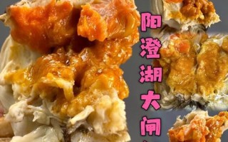 阳澄湖大闸蟹哪家好_如何挑选正宗阳澄湖大闸蟹