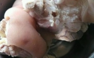 清炖猪肘子怎么做_清炖猪肘子去腥窍门
