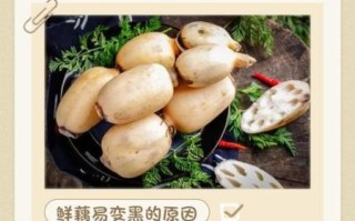 鲜藕的功效与作用_鲜藕怎么吃最养生