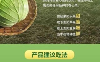 高丽菜丝是什么菜_怎么做才脆