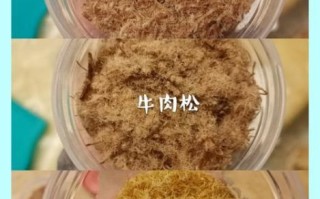 婴儿辅食猪肉松怎么做_猪肉松做法视频教程