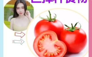 西红柿能减肥吗_西红柿减肥的正确吃法