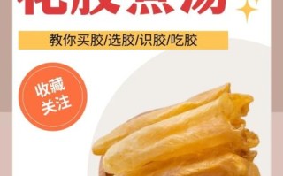 鱼胶怎么泡发_鱼胶炖汤做法步骤