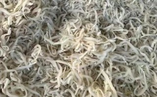 银鱼干怎么做汤_银鱼干汤的做法窍门