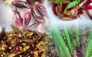 洋荷怎么炒好吃_洋荷的家常做法