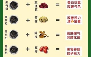 黑枸杞怎么吃补肾效果好_黑枸杞补肾的正确吃法