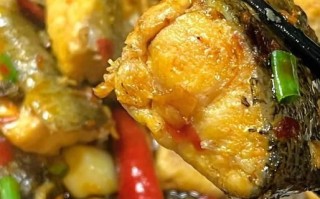 白鲢鱼怎么做好吃_白鲢鱼的家常做法