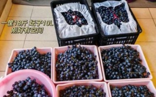 自酿葡萄酒煮沸后还能喝吗_如何长期保存