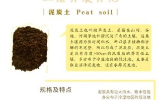 黄土高原适合种什么农作物_如何改良土壤