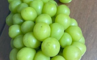 青提子的功效与作用及禁忌_哪些人不能吃