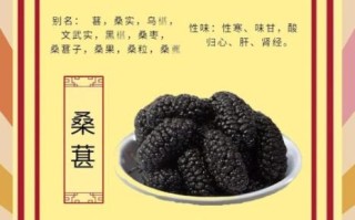 桑椹的副作用有哪些_桑椹吃多了会怎样