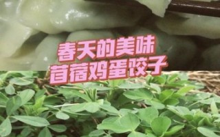 苜蓿鸡蛋饺子怎么做_苜蓿鸡蛋饺子馅怎么调