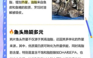 鸦片鱼头有什么营养价值_鸦片鱼头功效与作用