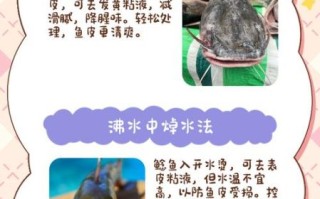 鲶鱼粘液需要处理吗_鲶鱼粘液怎么处理干净