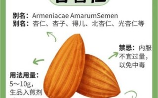 苦杏仁怎么吃_苦杏仁一天吃多少粒