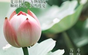 立夏图片大全_立夏节气图片怎么找