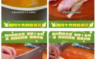怎样炖鸭子好吃又不腥_鸭子去腥技巧