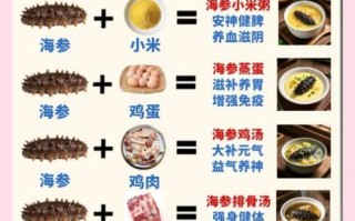 海参怎么做好吃又营养_海参家常做法大全