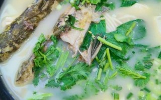 财鱼汤怎么做好喝又营养_财鱼汤的做法窍门