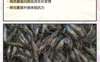 草虾多少钱一斤_草虾价格受哪些因素影响