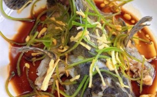 老虎斑怎么蒸才鲜嫩_清蒸老虎斑做法窍门