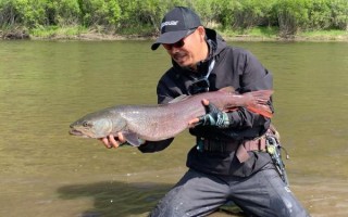 巨型哲罗鲑鱼有多大_巨型哲罗鲑鱼吃什么