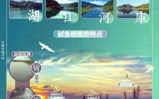 鳡鱼的营养价值_鳡鱼适合什么人吃