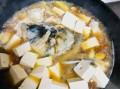 鲤鱼炖豆腐怎么做好吃_家常鲤鱼炖豆腐做法