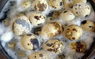 鹌鹑蛋怎么煮不破_鹌鹑蛋入味技巧