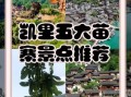 凯里旅游必去景点有哪些_凯里旅游攻略