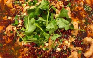 水煮肉片最简单的做法_水煮肉片怎么做才嫩