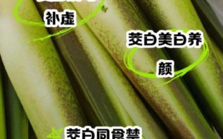 茭白的功效与作用及禁忌_什么人不能吃茭白