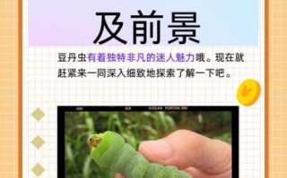 豆丹虫养殖技术_豆丹虫养殖前景怎么样