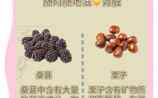 食疗补肾的食物有哪些_肾虚吃什么食补最快